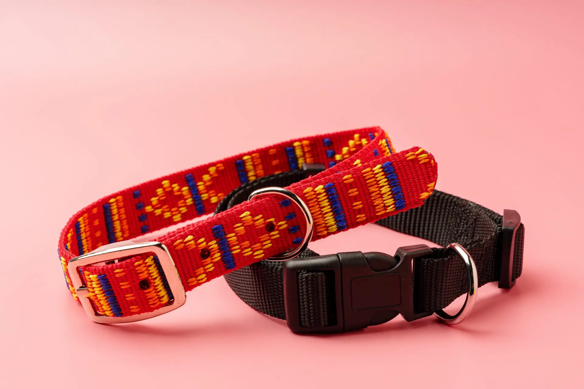 Types of Dog Collars: Which One Is Best for Your Pet?